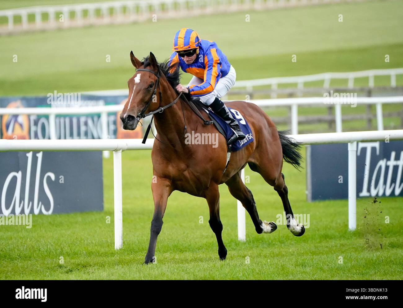 Lake Victoria ridden by Ryan Moore coming home to win the Tattersalls Irish 1,000 Guineas during ...