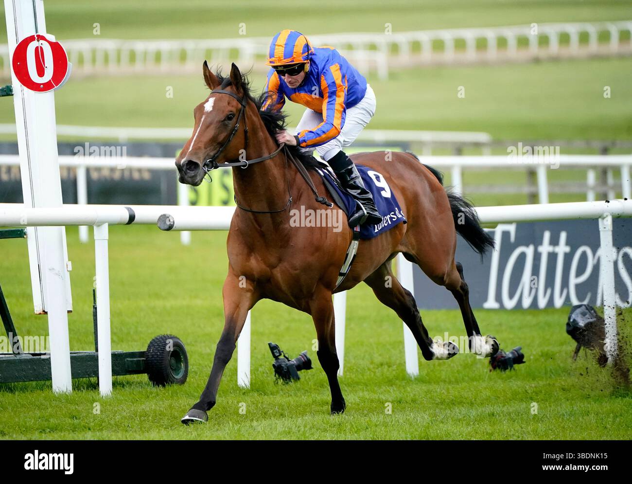 Lake Victoria ridden by Ryan Moore coming home to win the Tattersalls ...