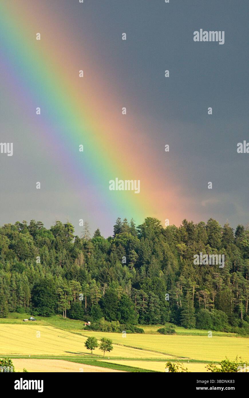 Rainbow over a forest during changing summer weather in rural Stock ...