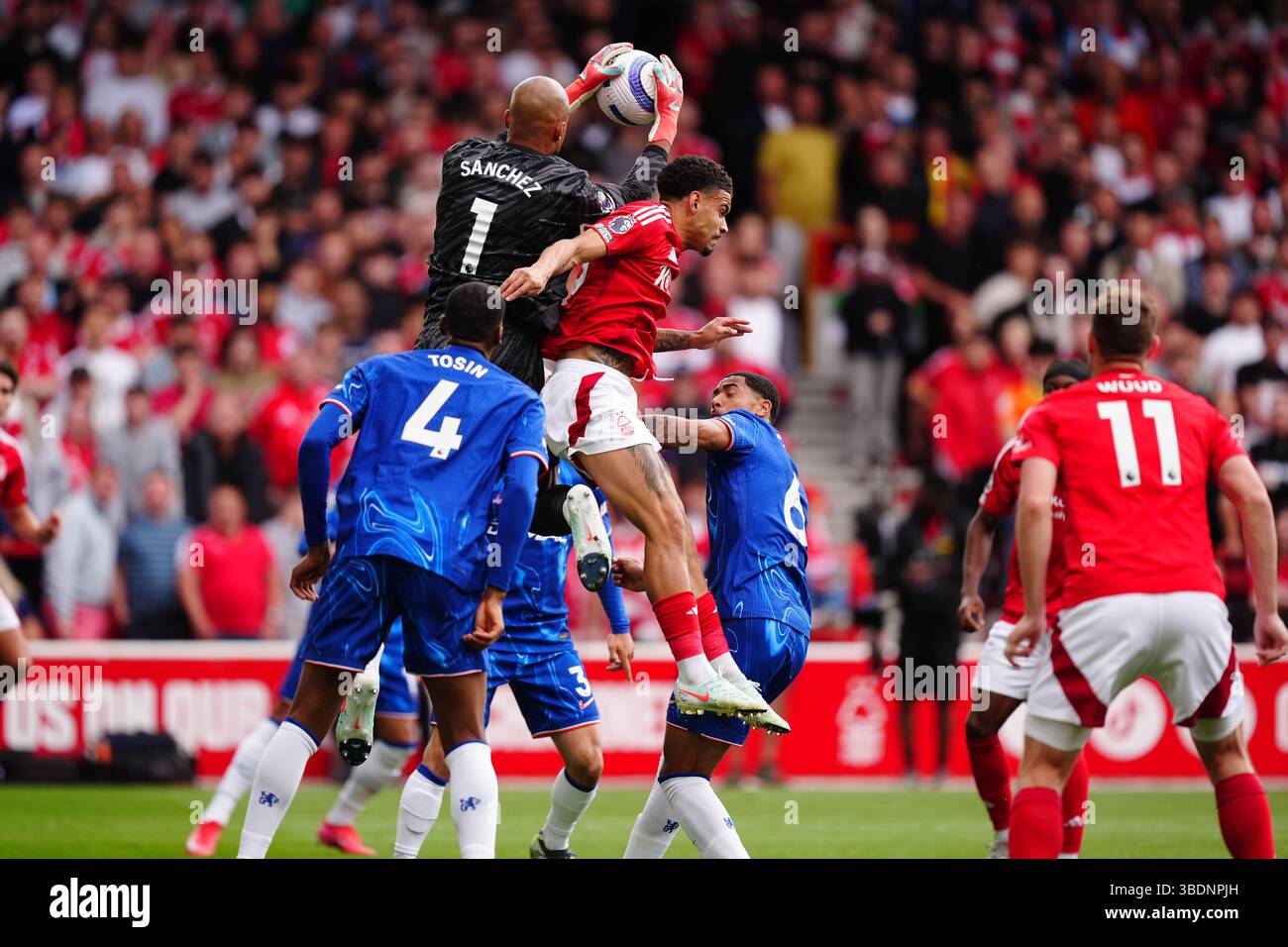 Chelsea goalkeeper Robert Sanchez claims the ball under pressure from ...