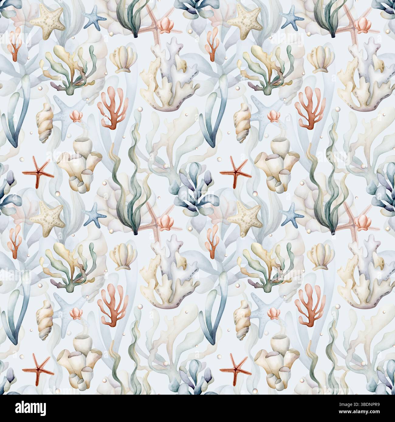 Sea plants. Seaweeds coral shells. Watercolor hand painted summer ...