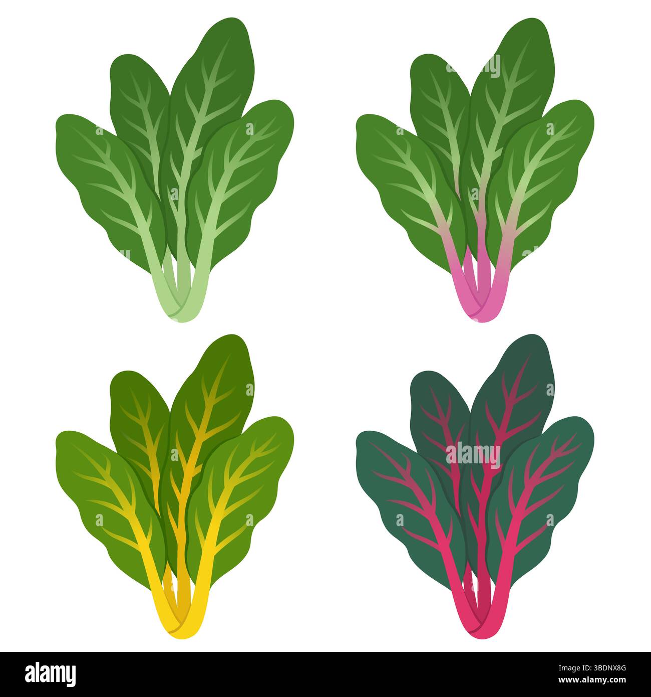 Vegan beet icon simple hi-res stock photography and images - Alamy