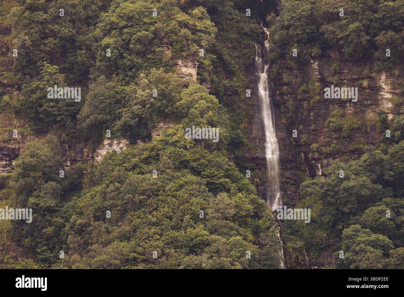 Lush woodland surrounds a tall waterfall flowing down rugged cliffs on ...