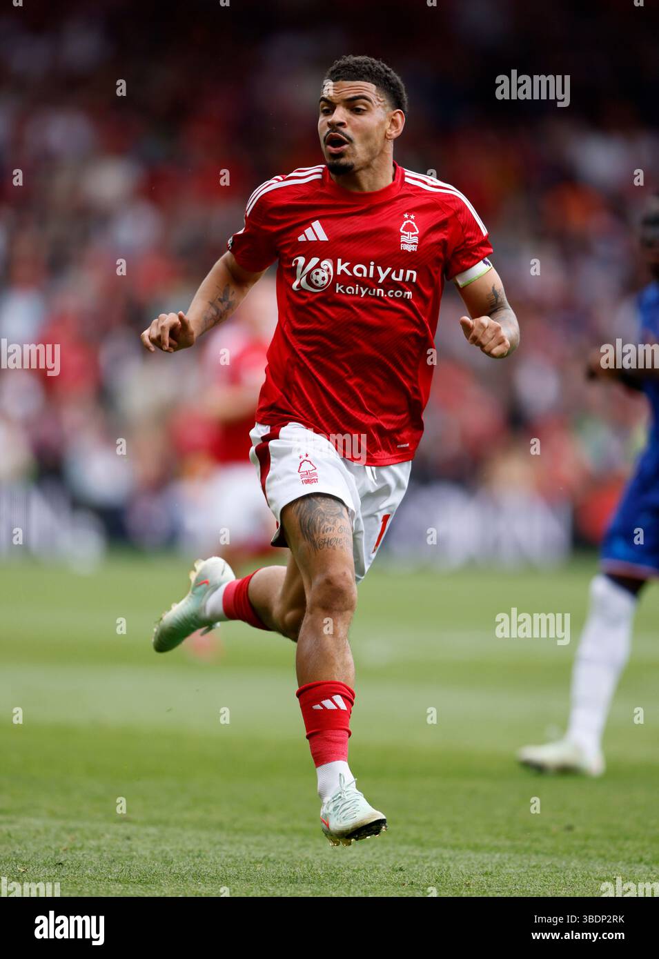 Nottingham Forest's Morgan Gibbs-White during the Premier League match ...