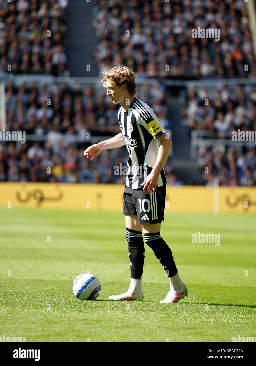 Newcastle united everton gordon hi-res stock photography and images - Alamy