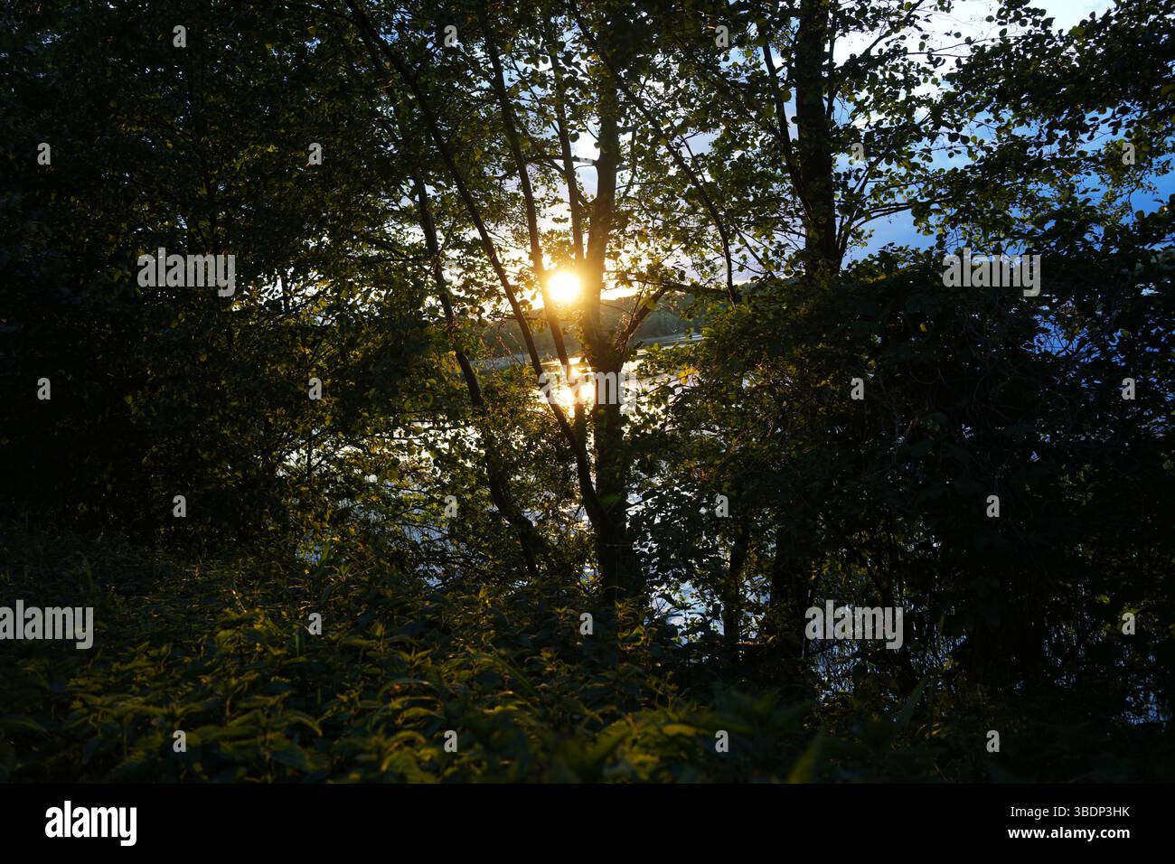 Uckermark GER, Deutschland, 20250524, Uckermark, Wrechner See beim ...