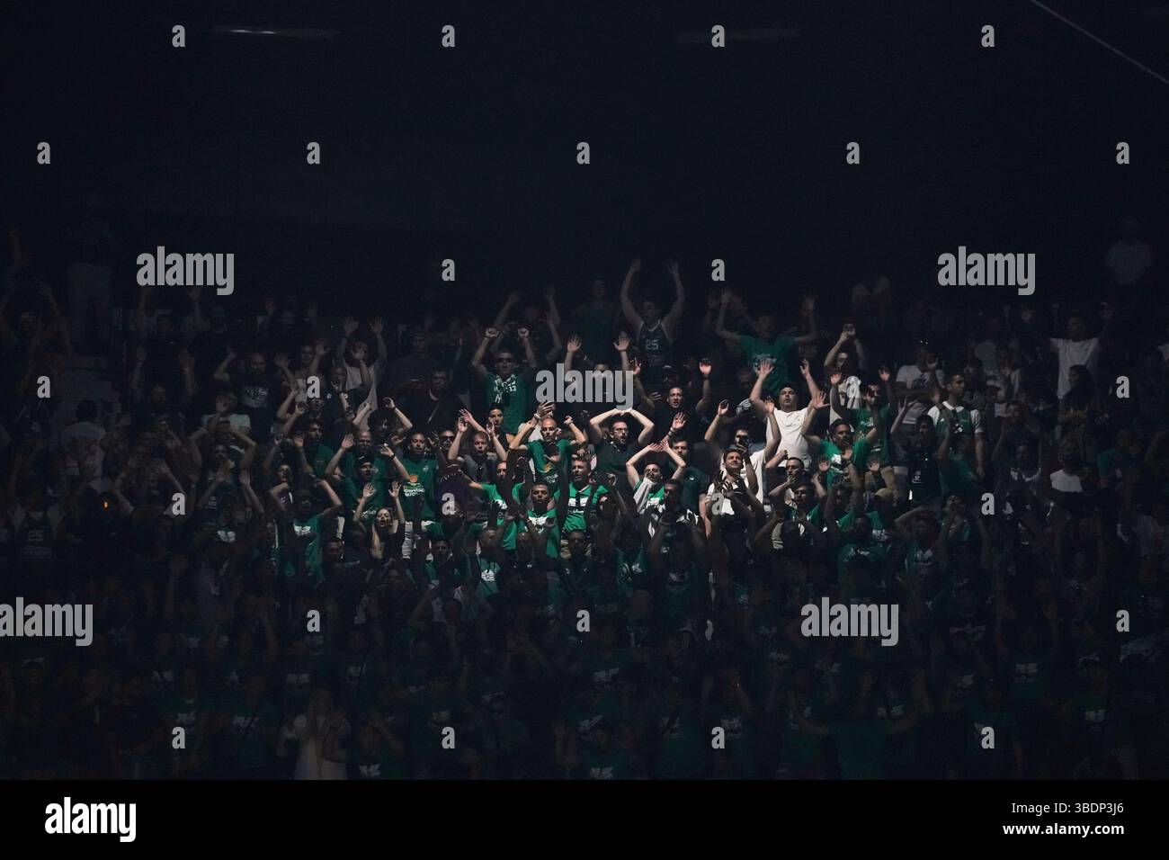 Panathinaikos fans cheer during the Euroleague basketball match for the ...