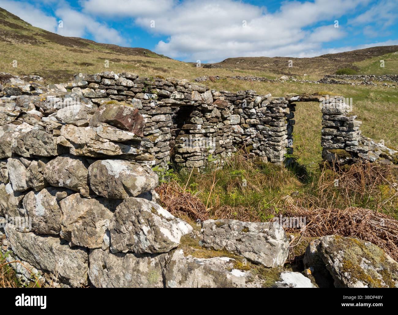 Old ruined drystone croft walls at the deserted highland settlement of ...