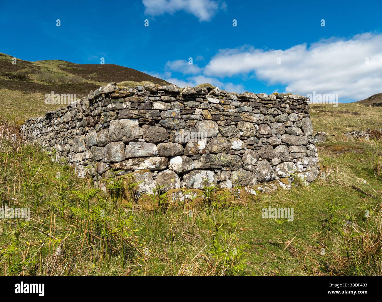 Old ruined drystone croft walls at the deserted highland settlement of ...