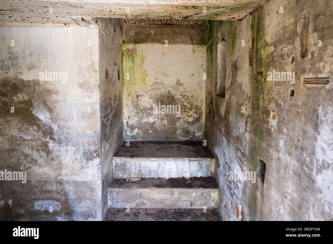 A World war 1 bunker of the German army in Beveren, East Flanders ...
