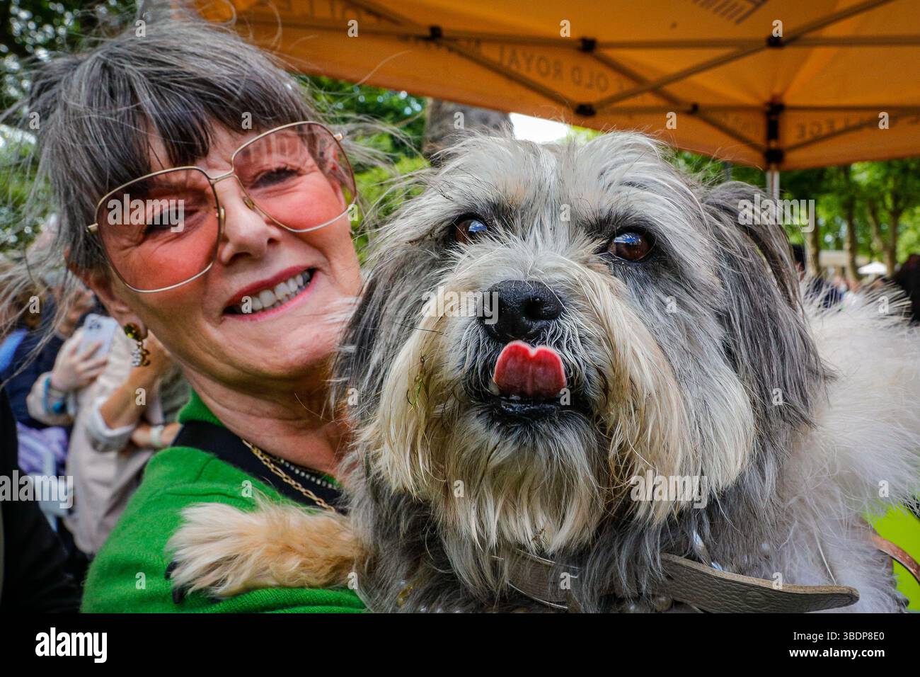 London, UK. 25th May, 2025. Greenwich Dog Show is a fun, free to see ...