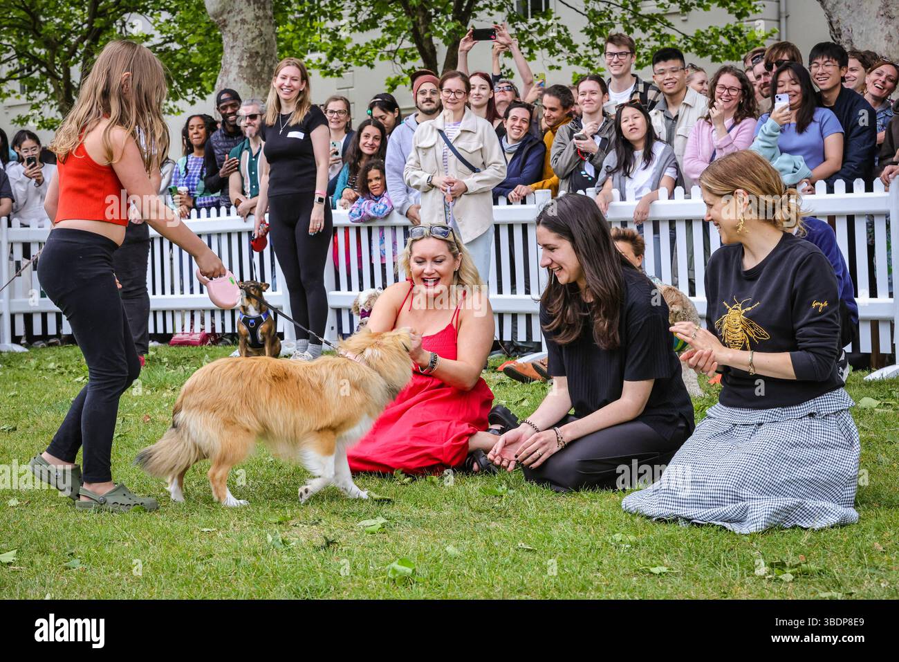 London, UK. 25th May, 2025. The judges have fun interacting with each ...