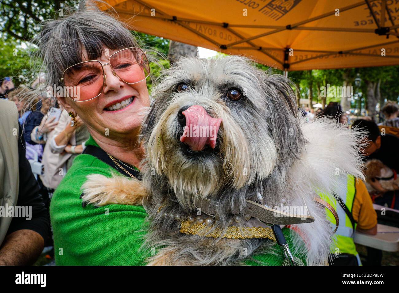 London, UK. 25th May, 2025. Greenwich Dog Show is a fun, free to see ...