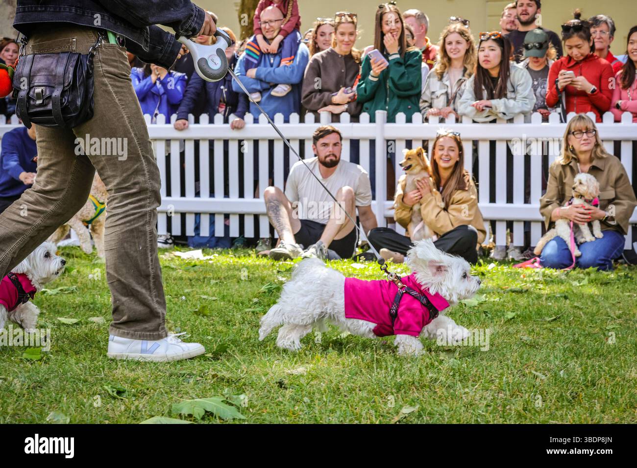 London, UK. 25th May, 2025. A competitor strutting her stuff on the ...