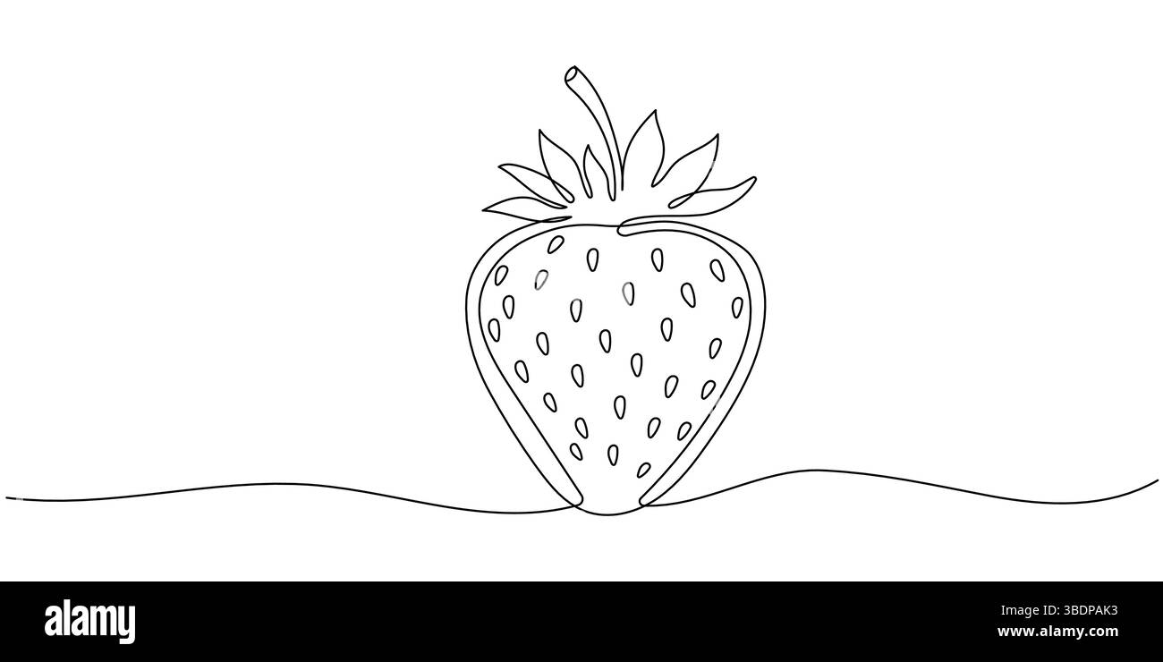 Strawberry vector One continuous line drawing of strawberry with ...
