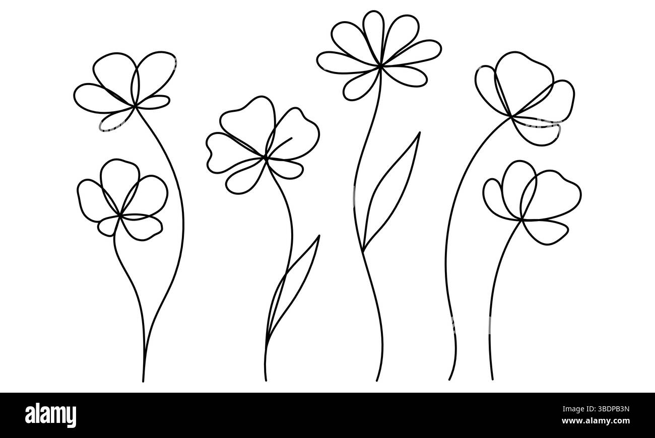 Continuous one line drawing of minimalist wild flowers poppy flower ...