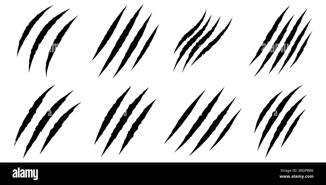 Black claw scratches. Bear tiger claws trails, animal scratched white ...