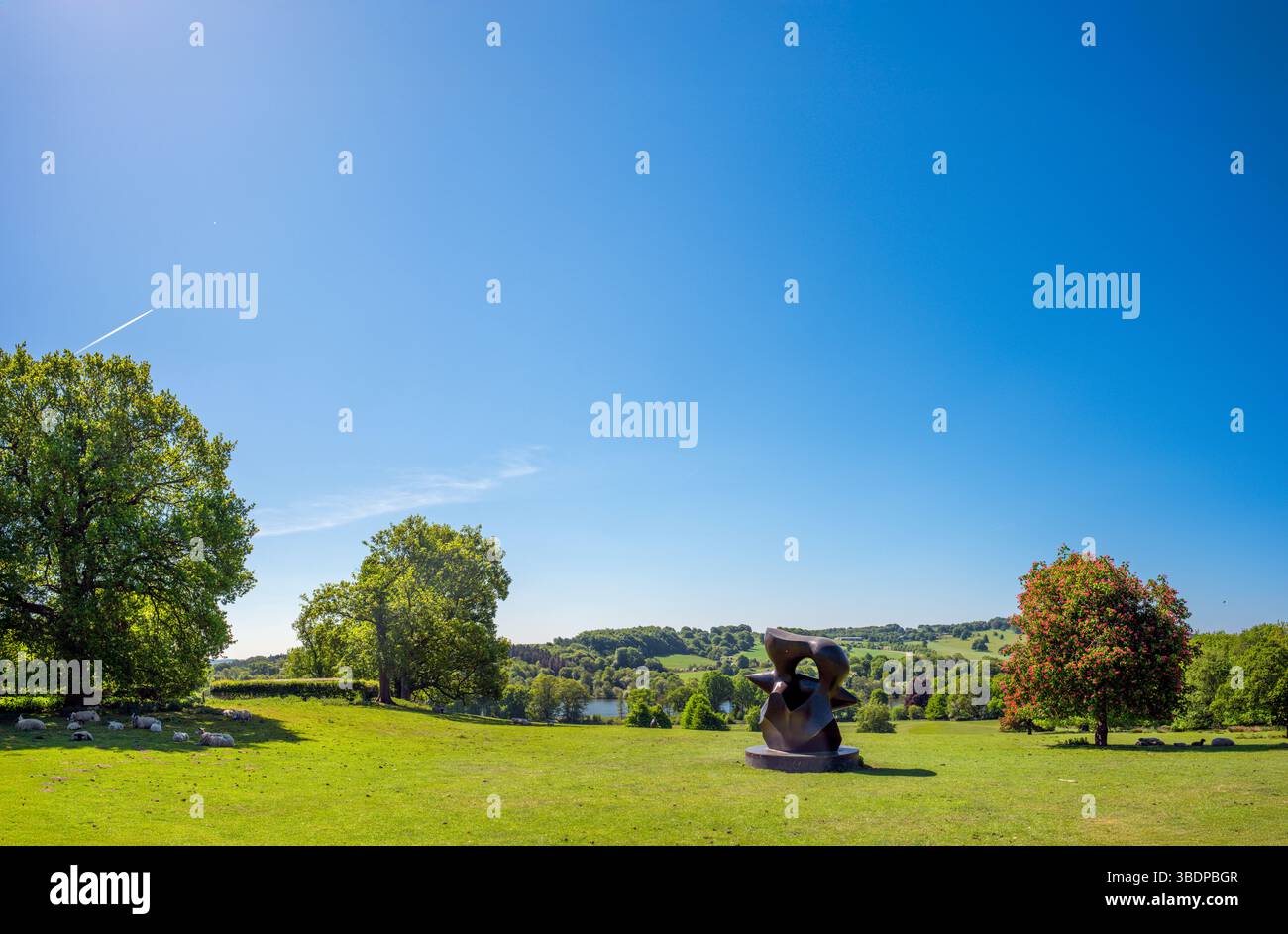 Sheep in front of Large Spindle Piece (Bronze, 1968) by Henry Moore ...