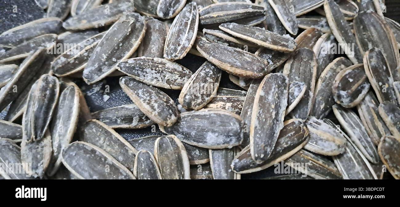 Salted sunflower seeds with shells, perfect for snacking Stock Photo ...