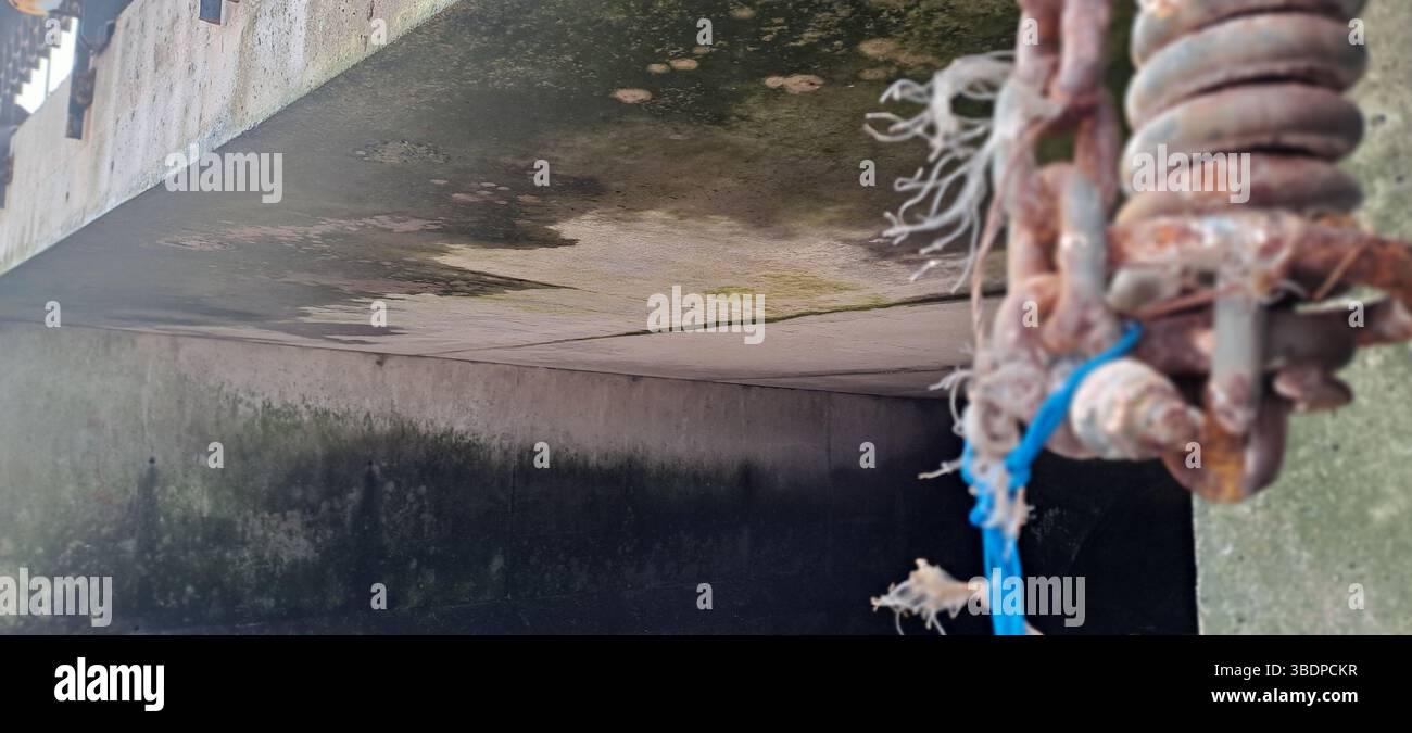 Close-up of a rusty spring with frayed rope hanging from the moss ...