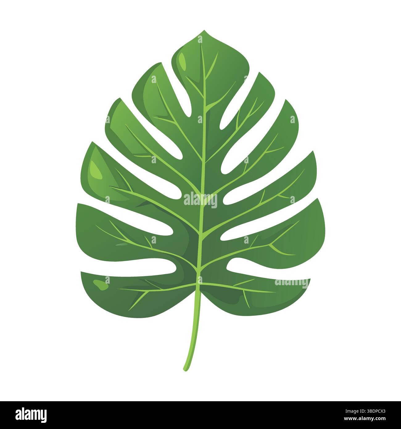 Stunning Monstera Leaf Illustration Clipart Tropical Stock Vector Image ...