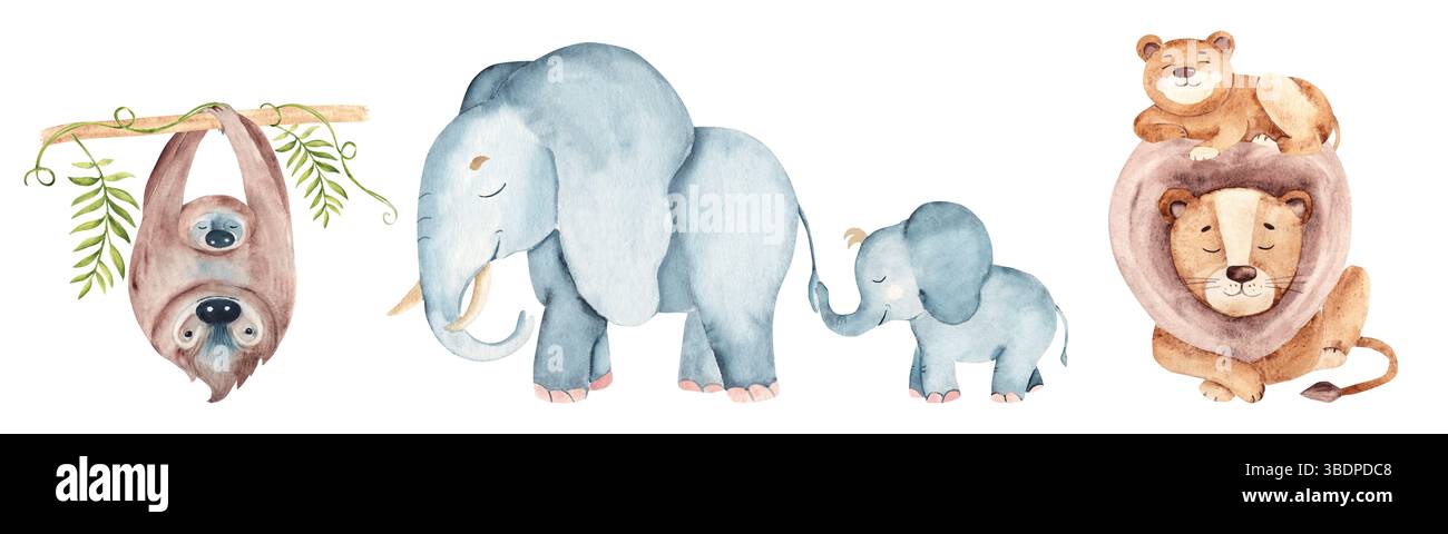 Wild animals families compositions set. Cute elephant, lion and sloth ...