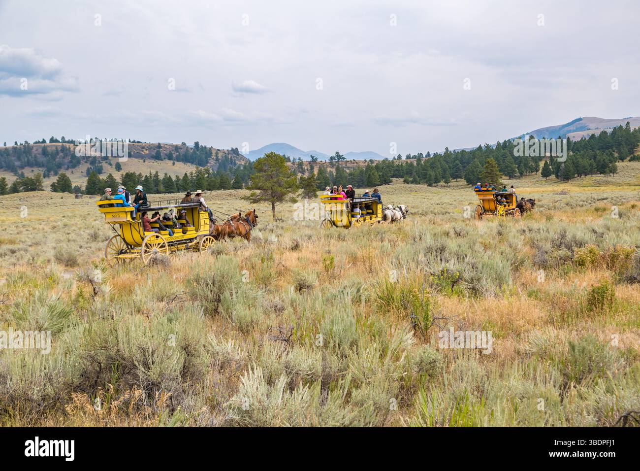 Tourists riding horse-drawn stagecoach replicas through sage-covered ...
