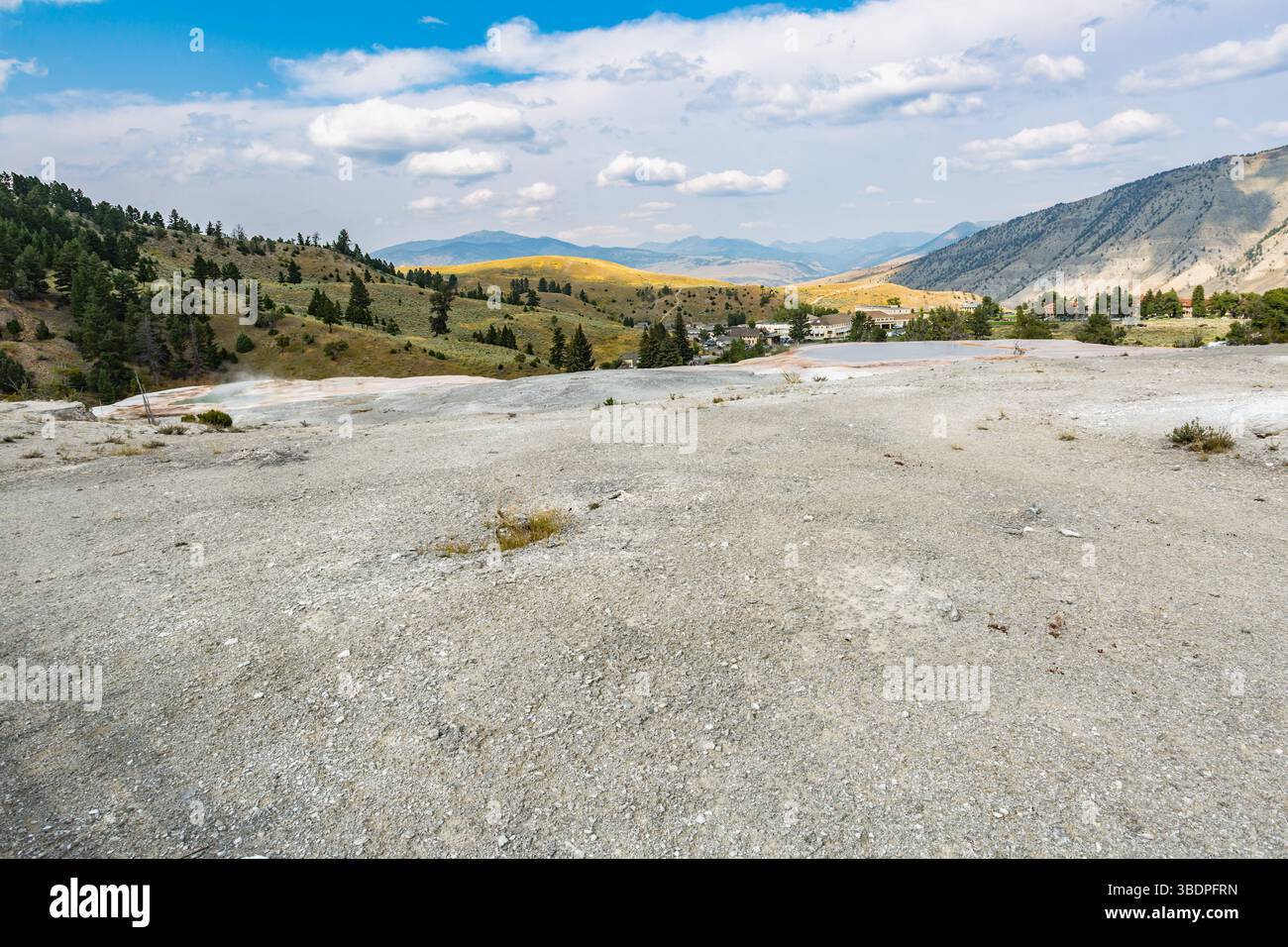 Top of Palette Spring in the Mammoth Hot Springs area of Yellowstone ...