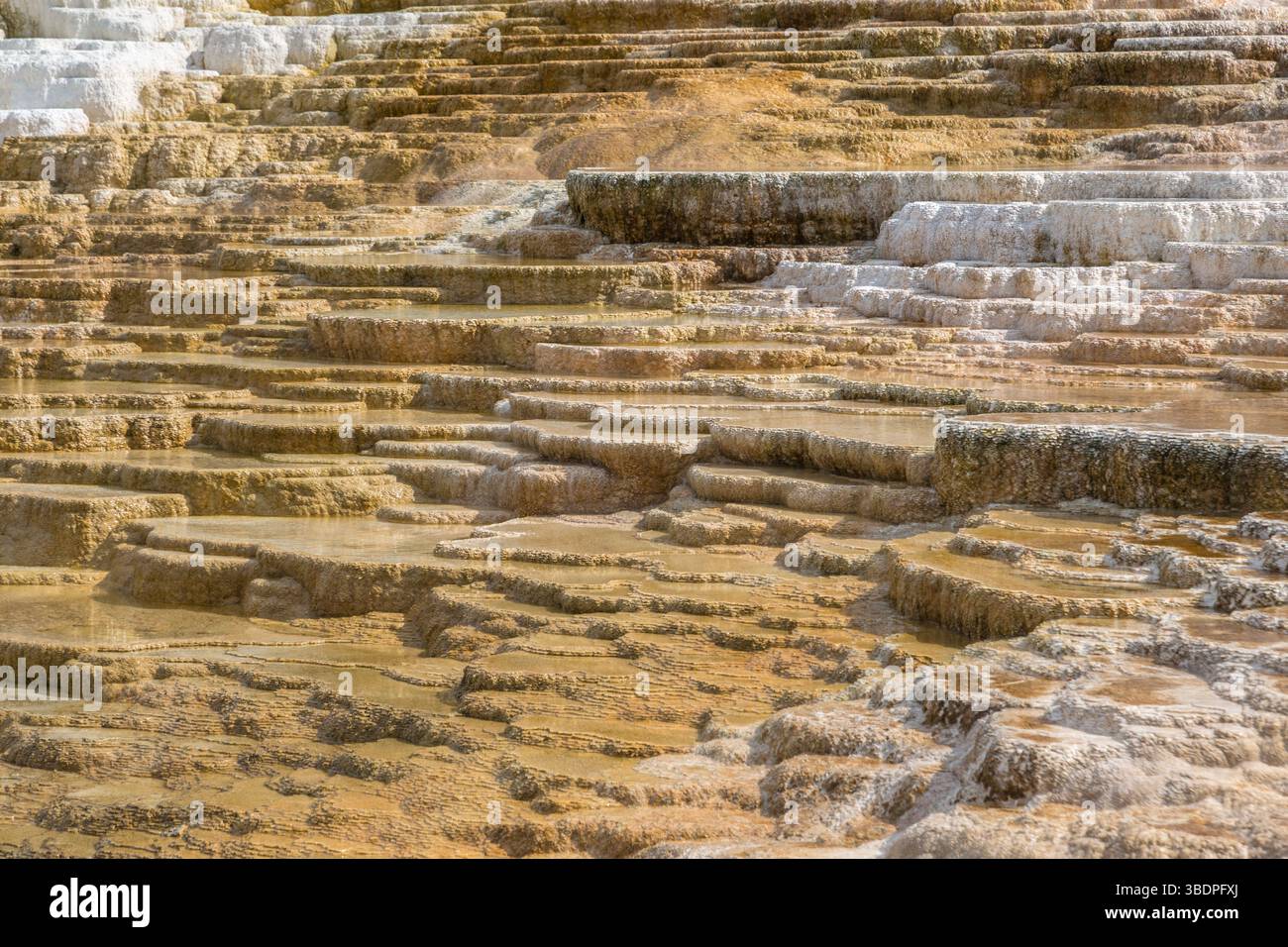 Close up details of the travertine rock of Mound Spring in the Mammoth ...