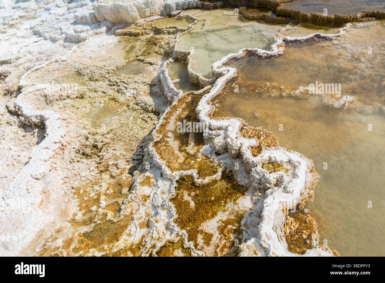 Close up details of the travertine rock of Mound Spring in the Mammoth ...