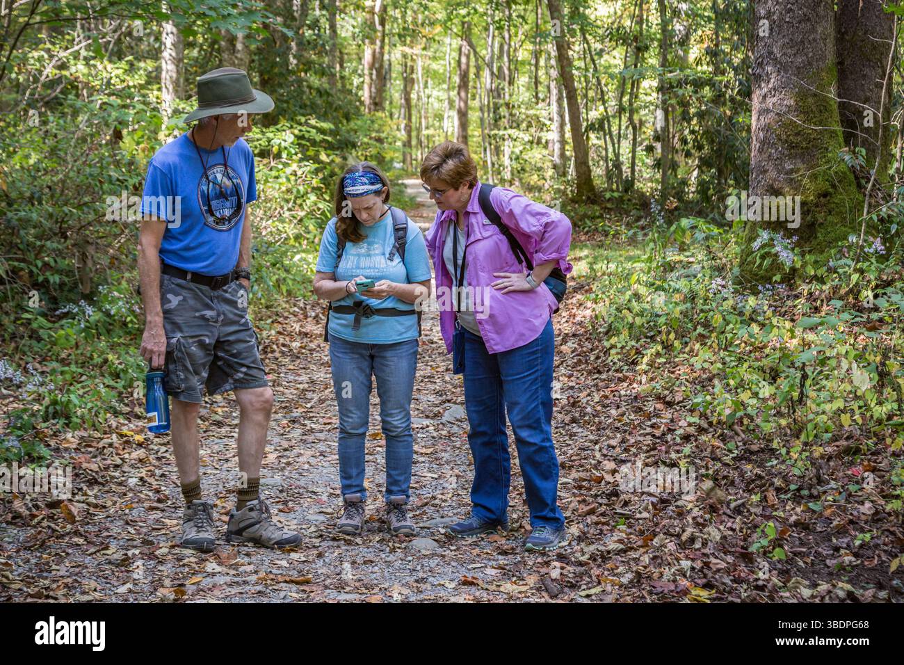 Hikers checking trail map hi-res stock photography and images - Alamy
