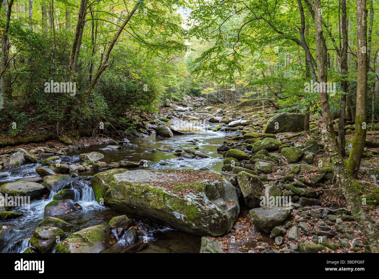 The Little River flows along the Little River Trail in the Great Smoky ...