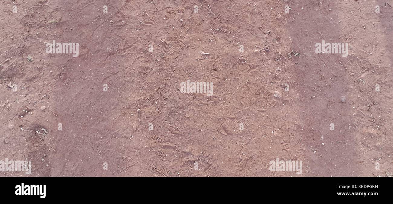 Red dirt road surface with various tire tracks and bird footprints ...
