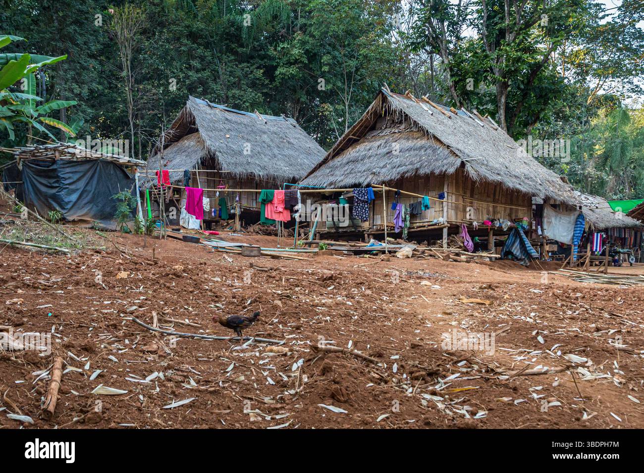 Residences of the Akha tribe area of the Union of Hill Tribe Villages ...