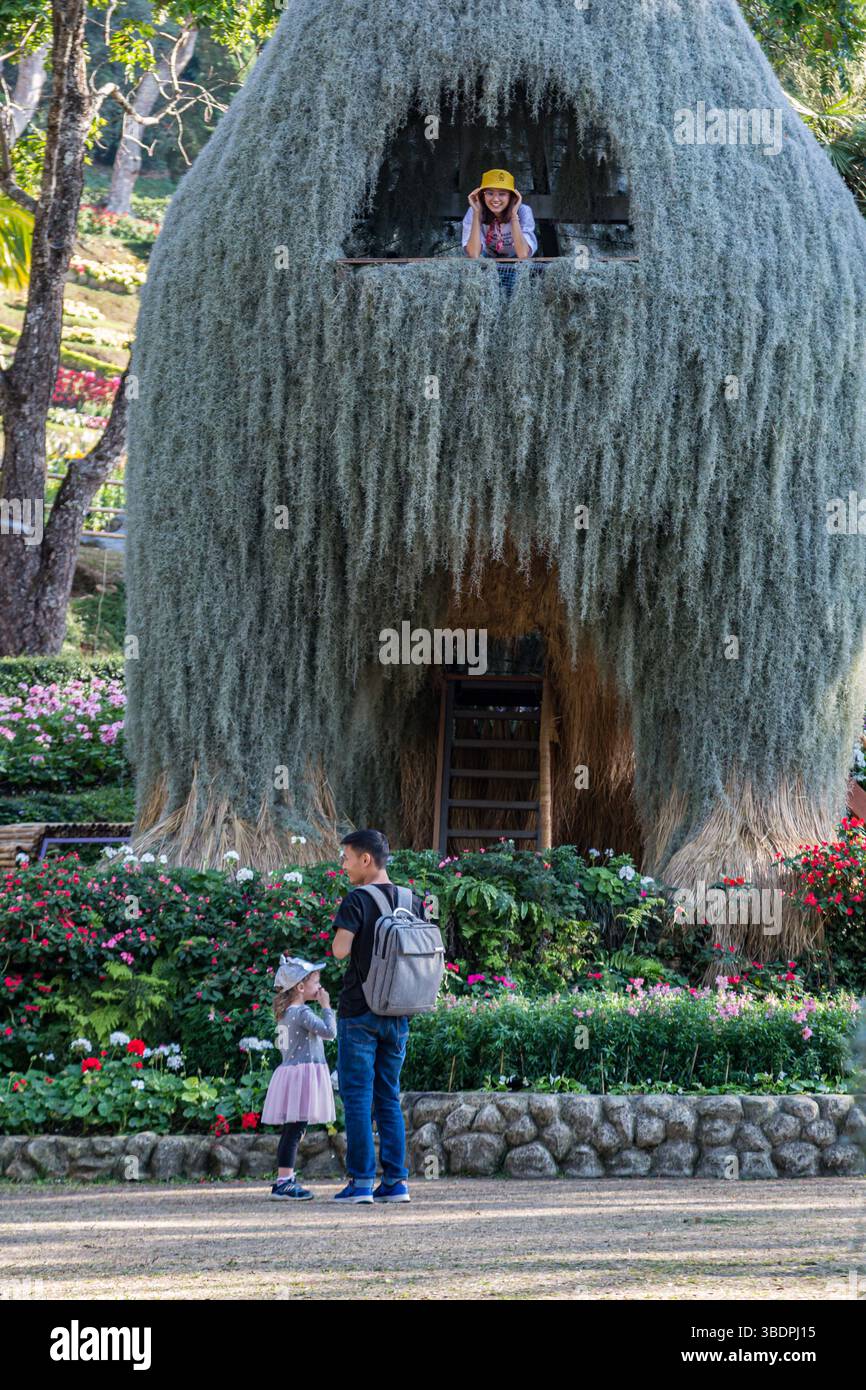 Thai woman in the top window of the Llama tree at Mae Fah Luang Gardens ...