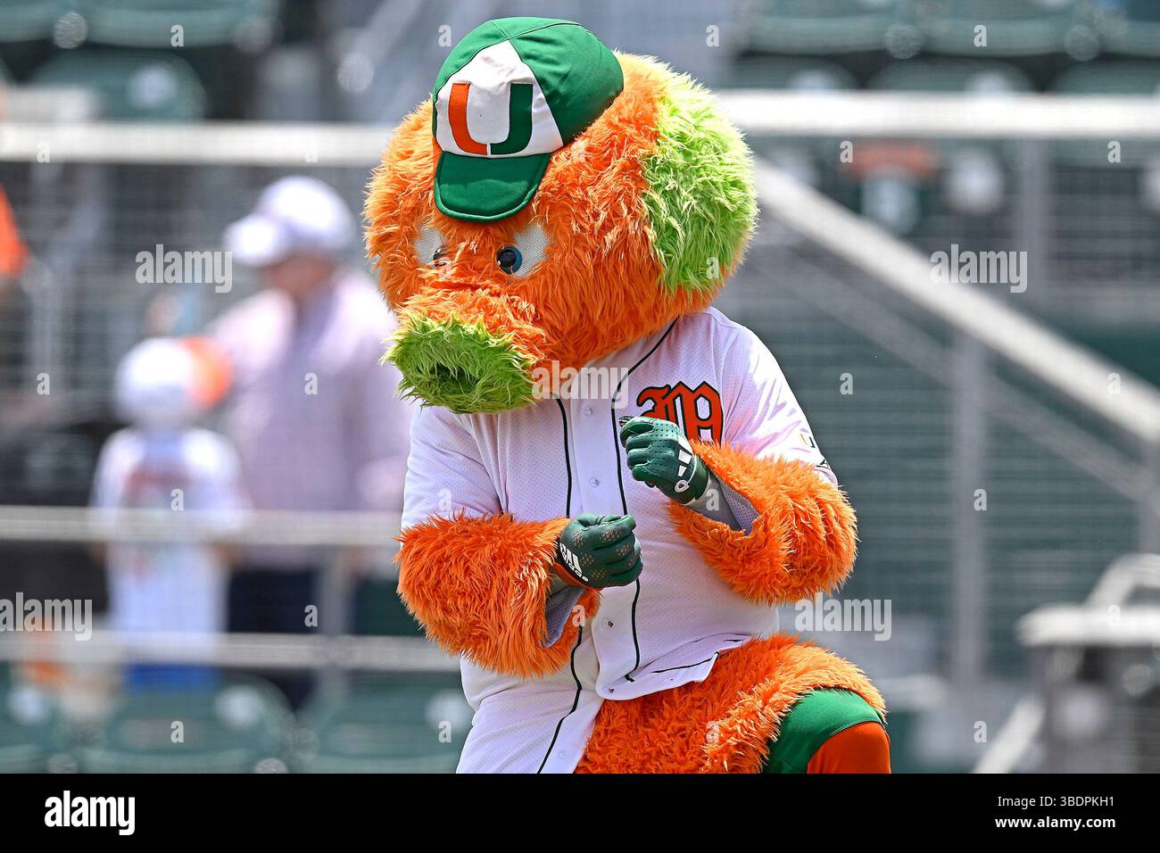 CORAL GABLES, FL - MAY 17: Miami's mascot, the Maniac, fires up the ...