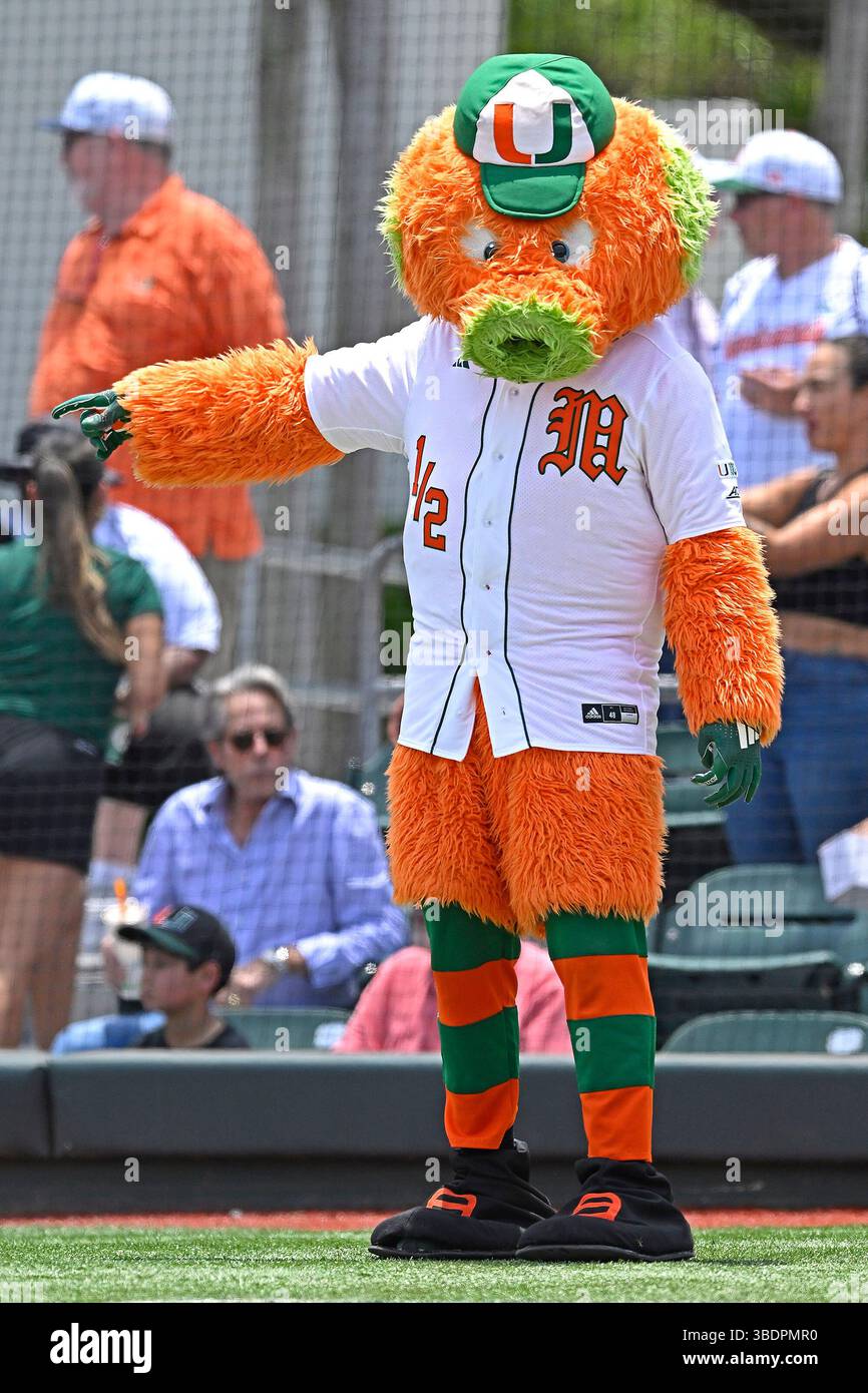 CORAL GABLES, FL - MAY 17: Miami's mascot, the Maniac, fires up the ...