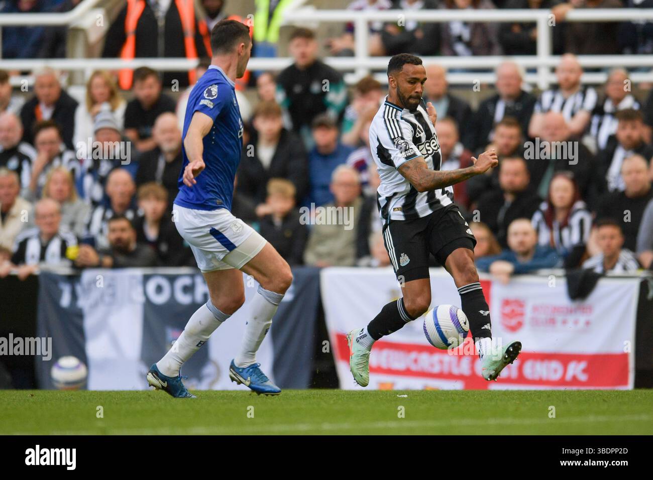 Callum wilson 2025 hi-res stock photography and images - Alamy