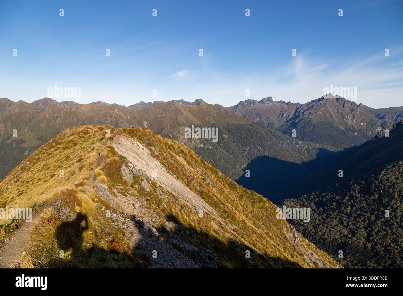 Alpine section of the Kepler Track long distance hiking trail ...