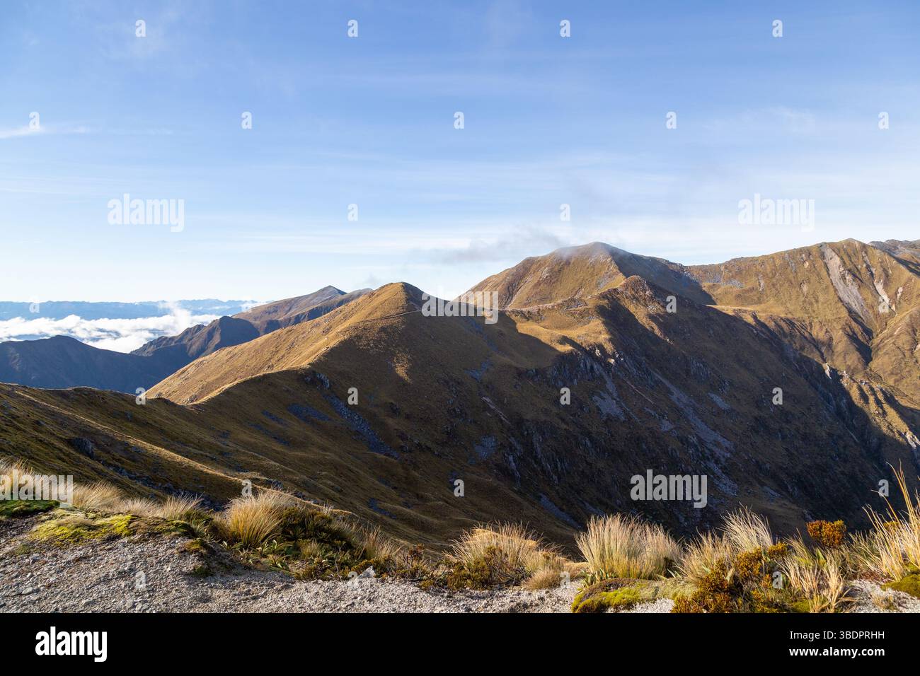 The Alpine section of the Kepler Track long distance hiking trail ...