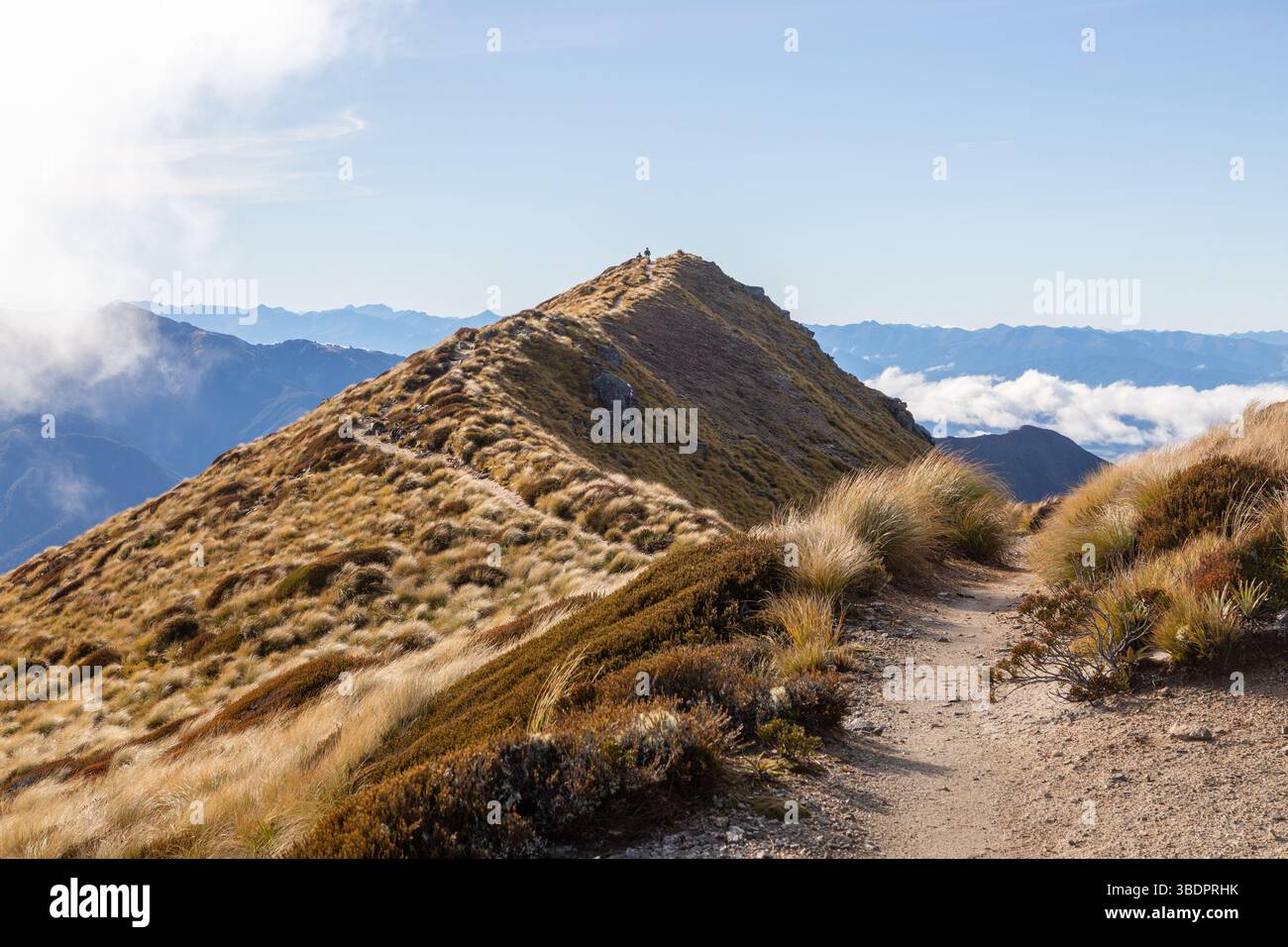 The Alpine section of the Kepler Track long distance hiking trail ...