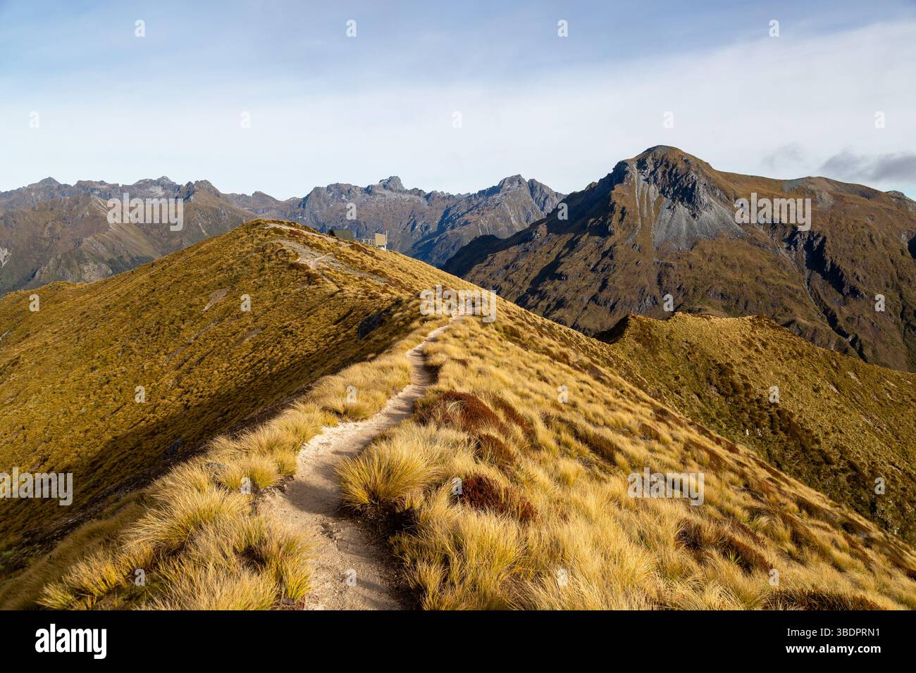 The Alpine section of the Kepler Track long distance hiking trail ...
