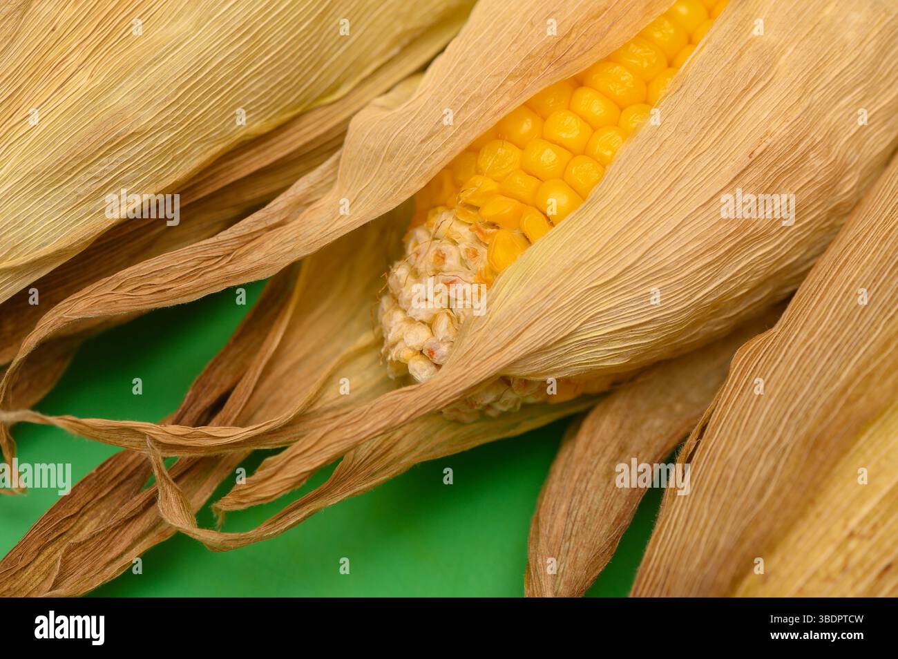 Baked Corn on the Cob with Golden Crust Stock Photo - Alamy