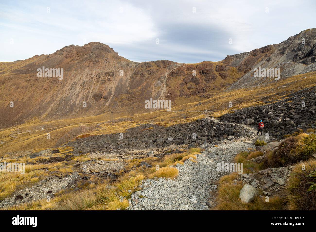 The Kepler Track long distance hiking trail, Fiordland National Park ...