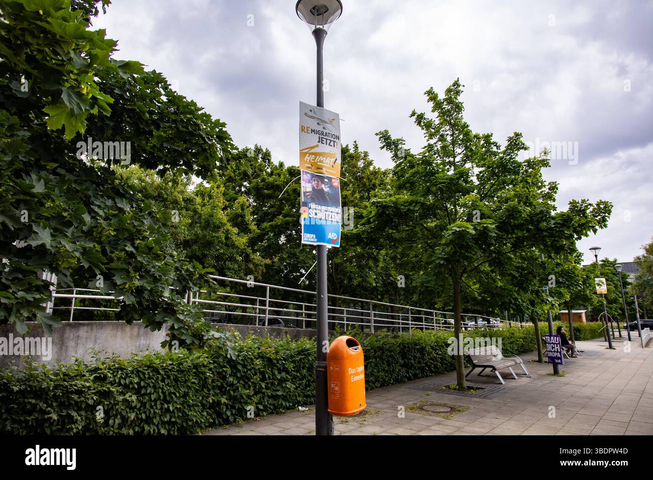 Wahlplakat der AfD und Plakat mit Aufforderung zur Remigration in ...