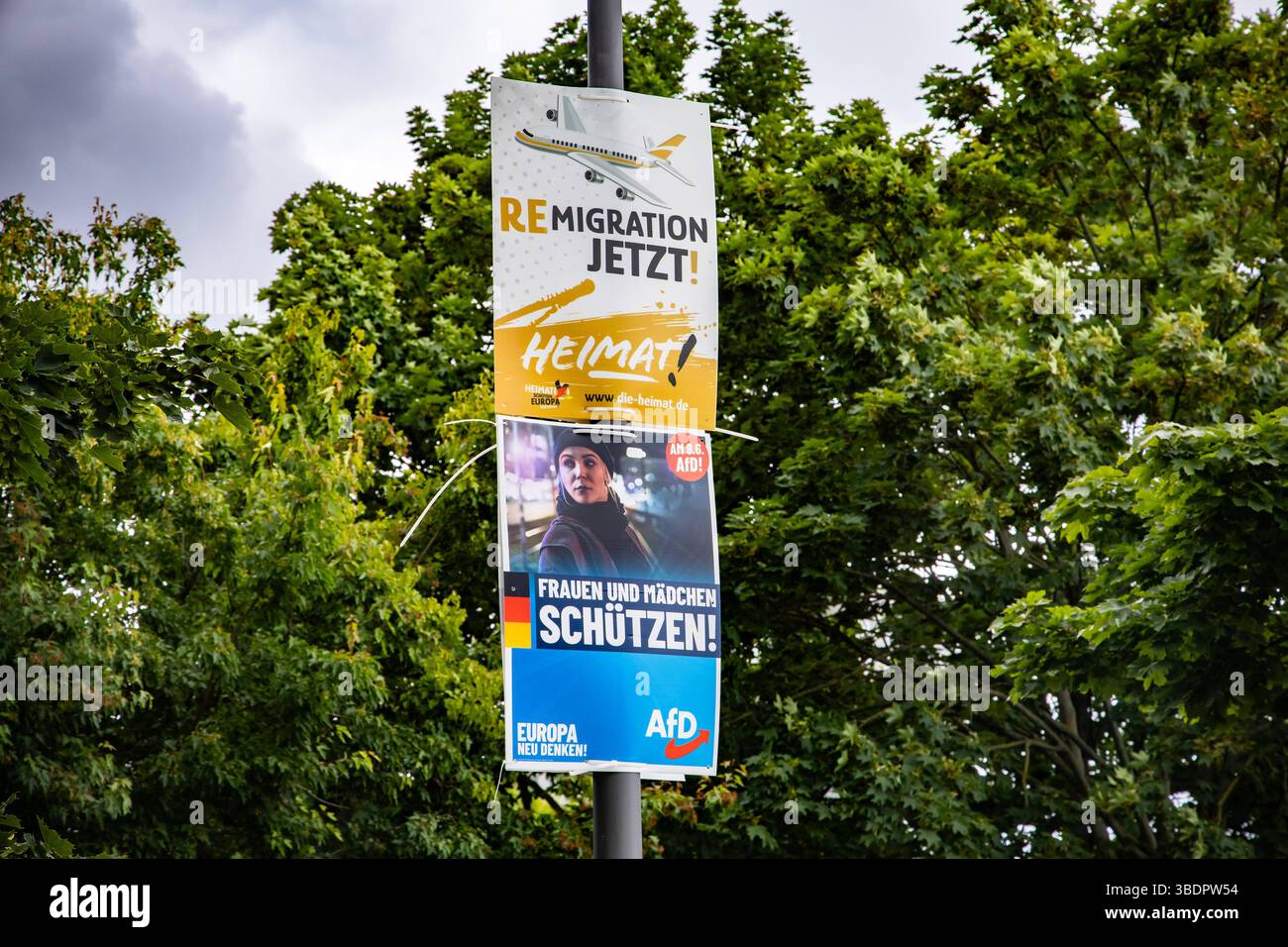 Wahlplakat der AfD und Plakat mit Aufforderung zur Remigration in ...