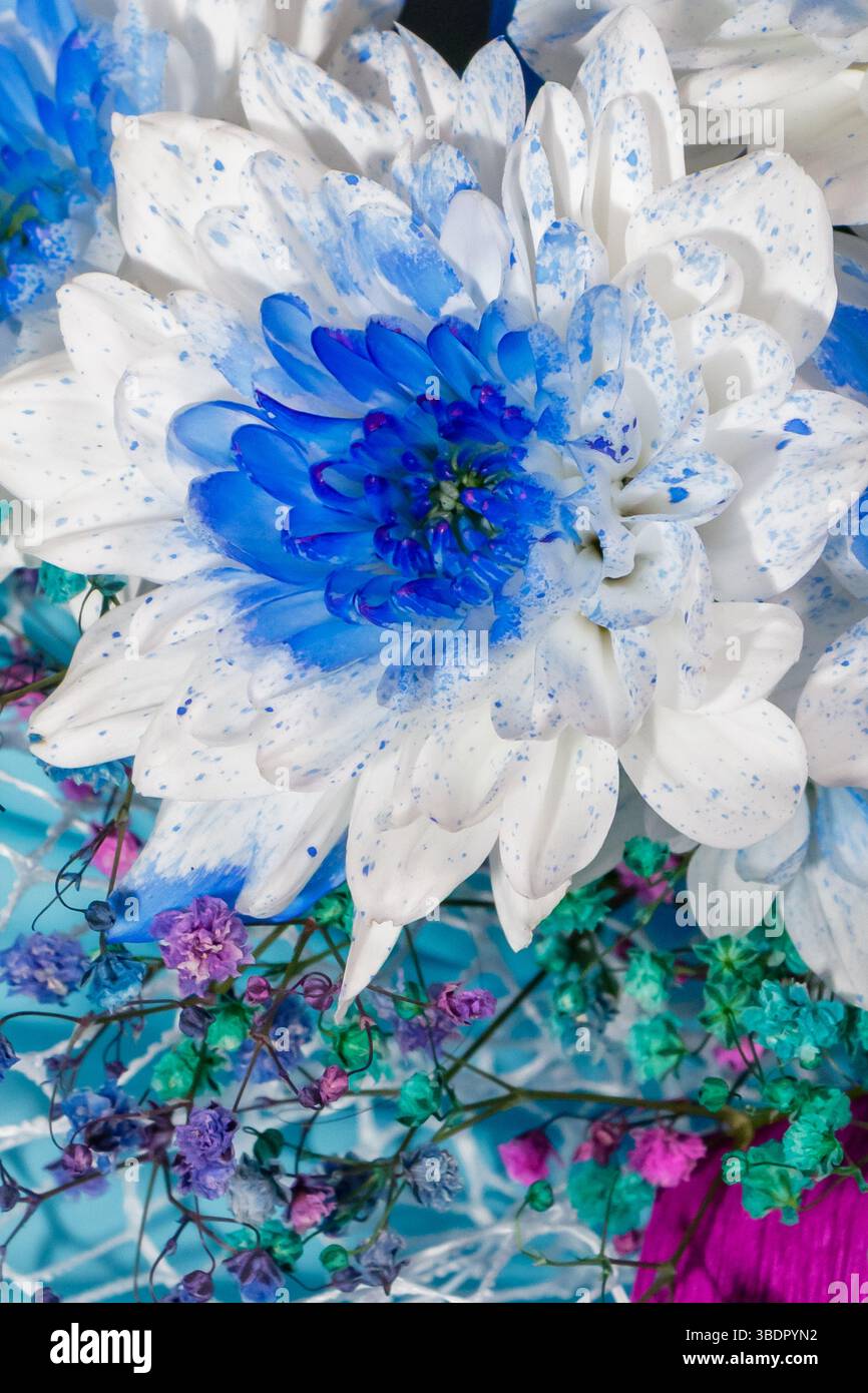 Featuring bold blooms hi-res stock photography and images - Alamy