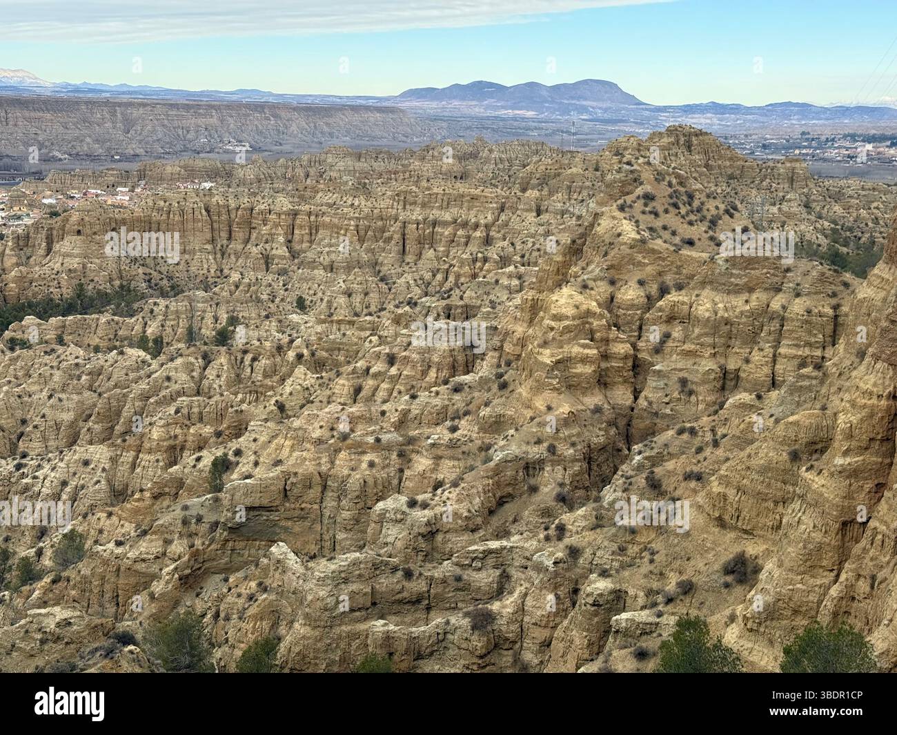 Arid badlands landscape with eroded hills, pine trees, and distant ...