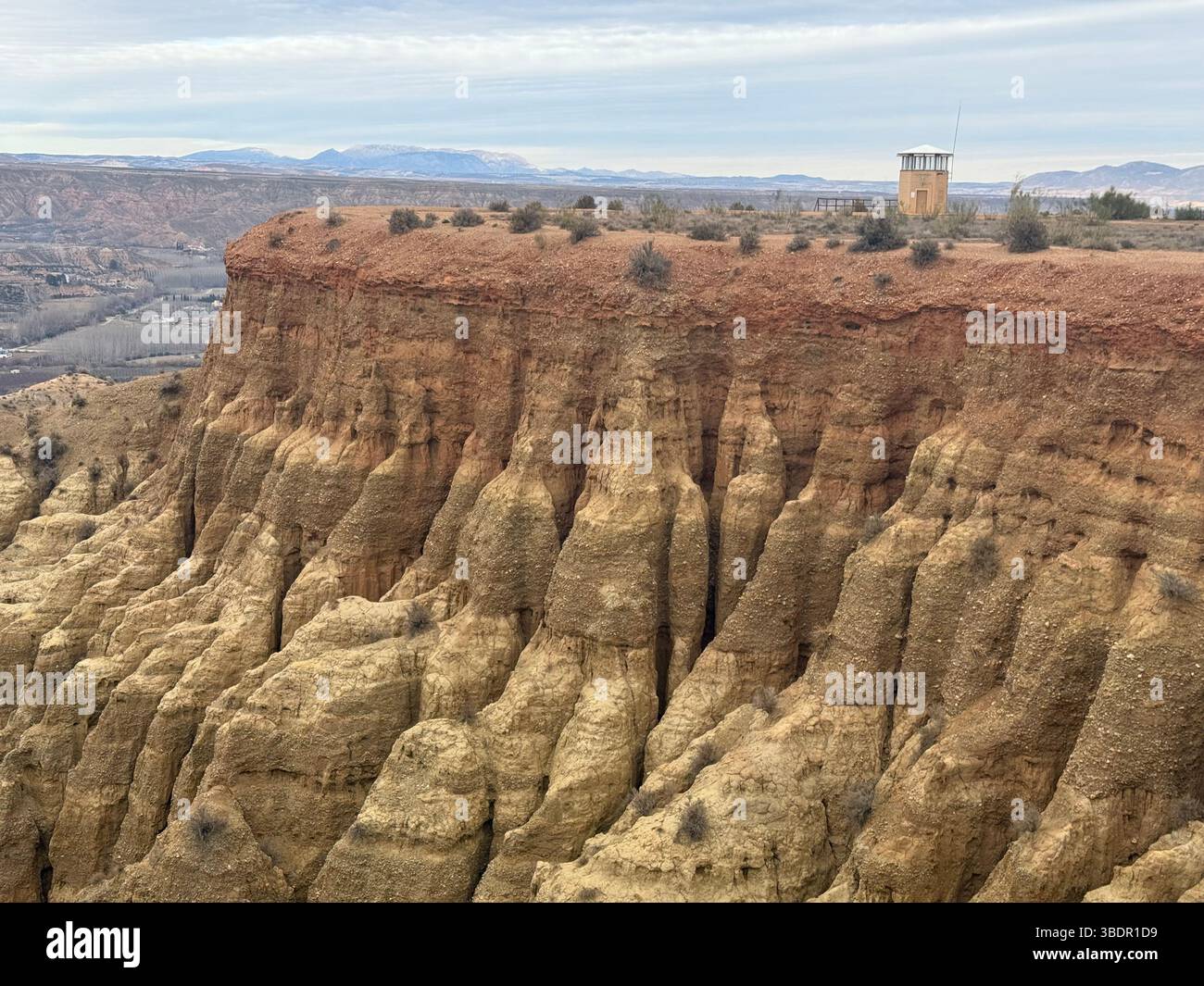 Arid badlands landscape with eroded hills, pine trees, and distant ...