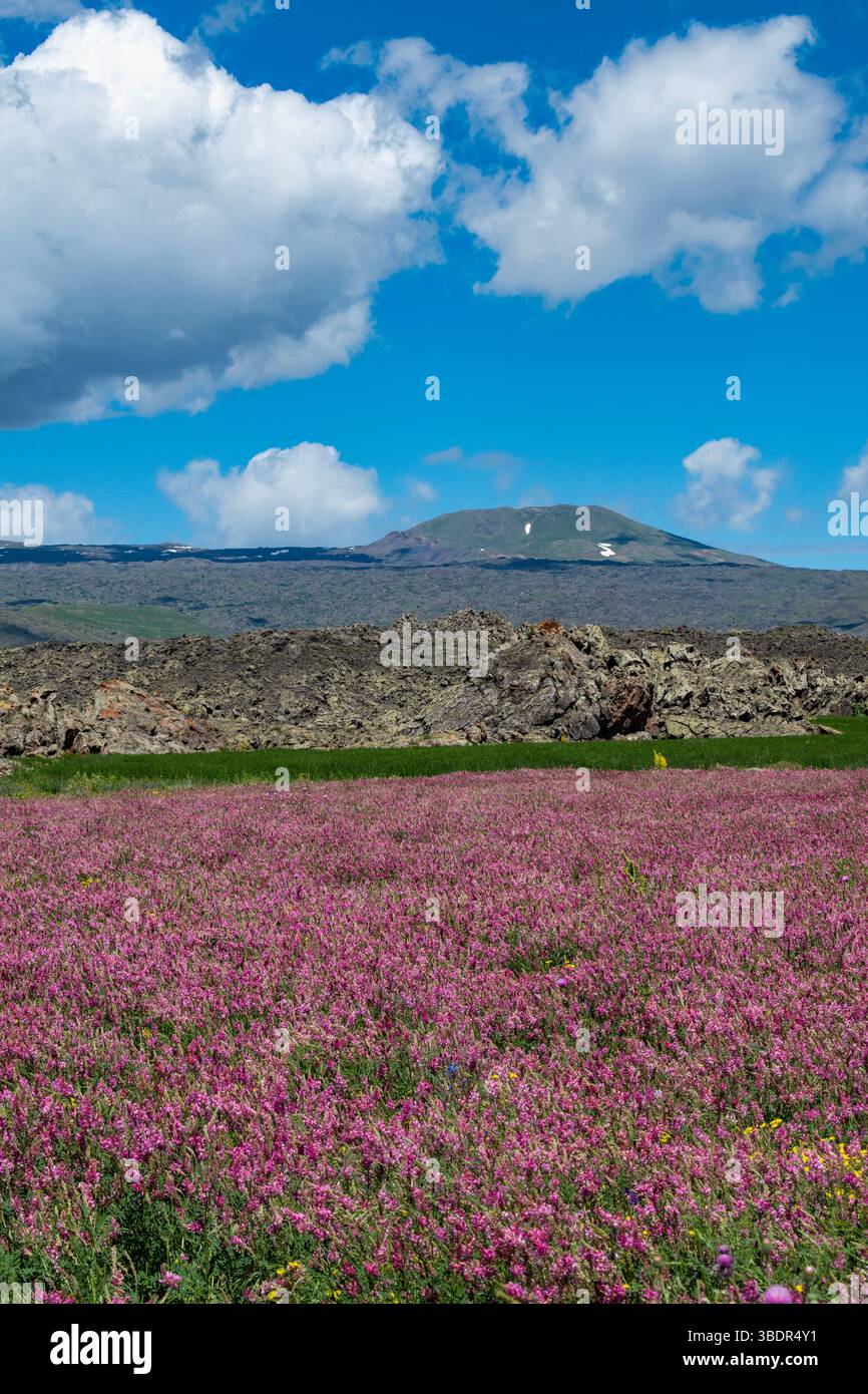 Turkey: the landscape on the dirt road on the plateau around Mount ...